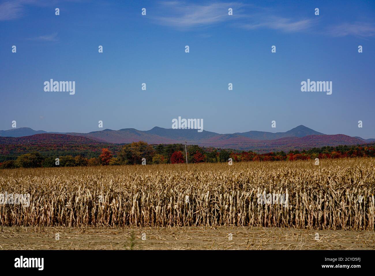 Fall colors in Vermont Stock Photo - Alamy