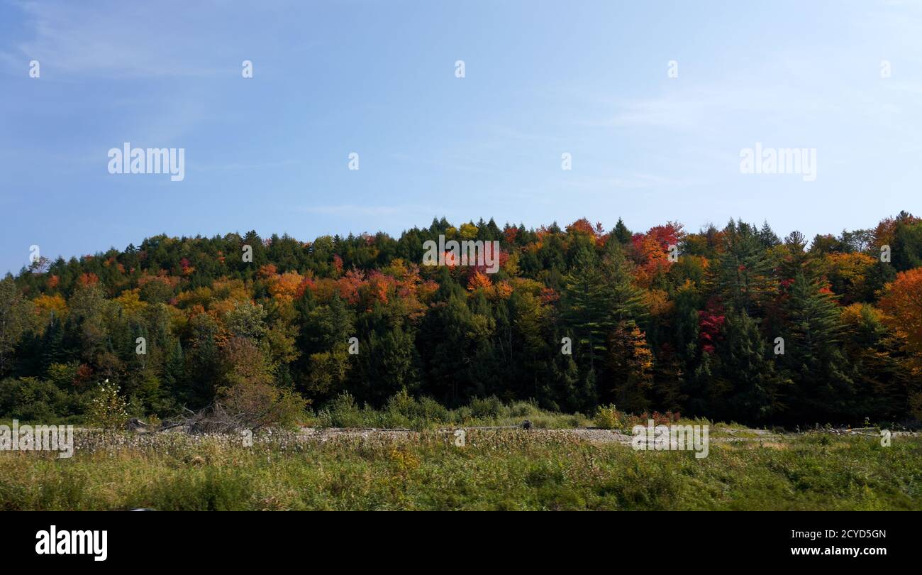 Fall colors in Vermont Stock Photo - Alamy