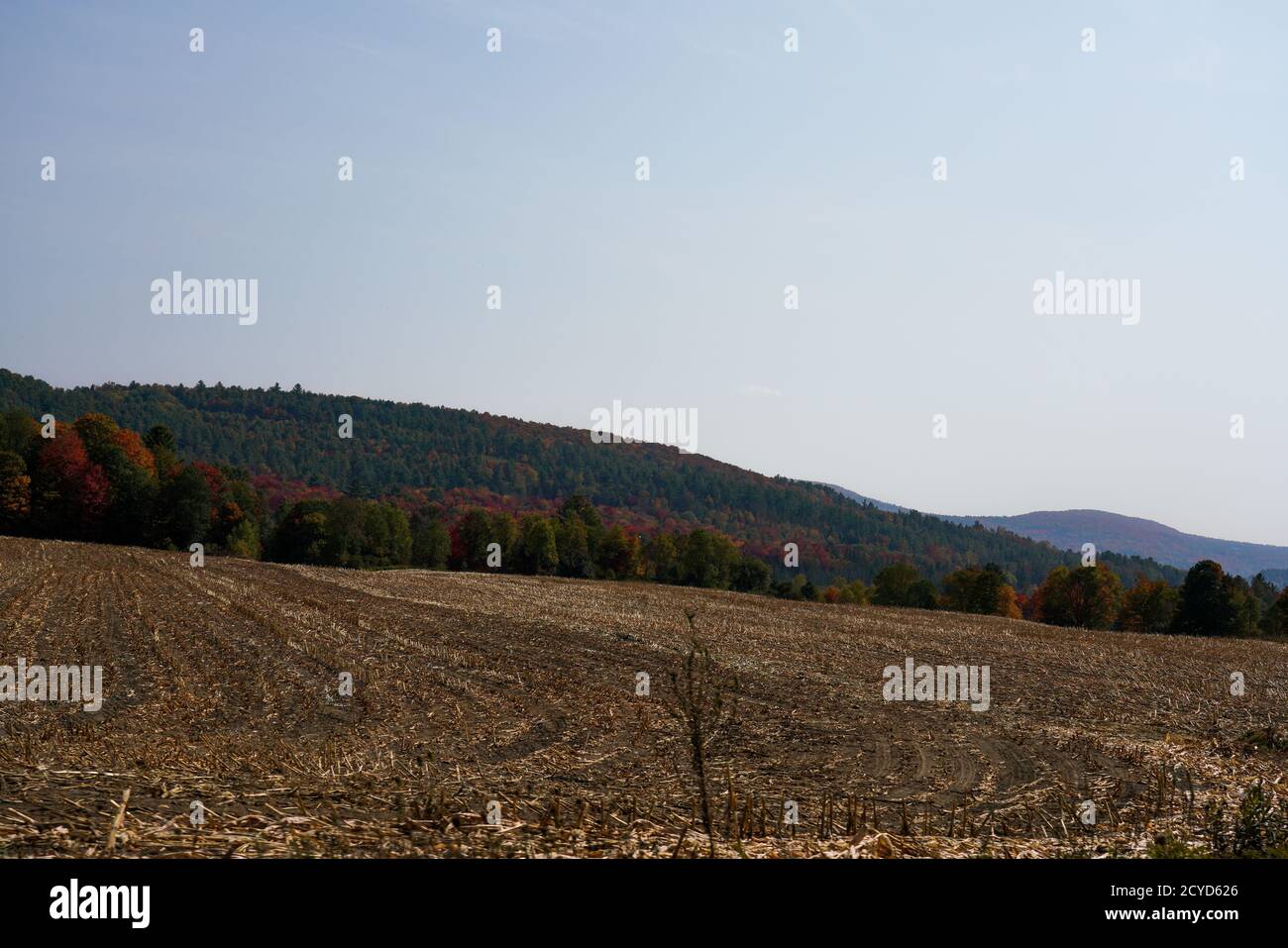 Fall colors in Vermont Stock Photo - Alamy