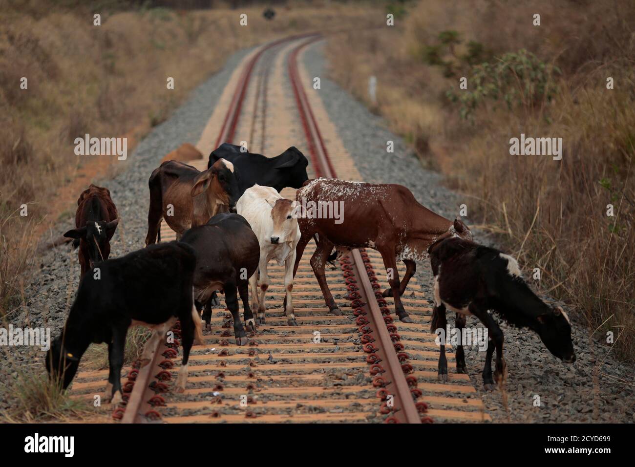 Ten miles of track laid hi-res stock photography and images - Alamy