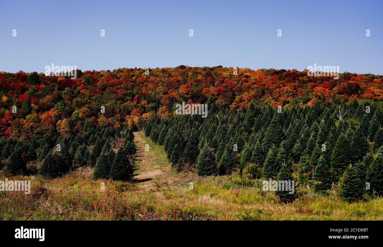 Fall colors in Vermont Stock Photo - Alamy