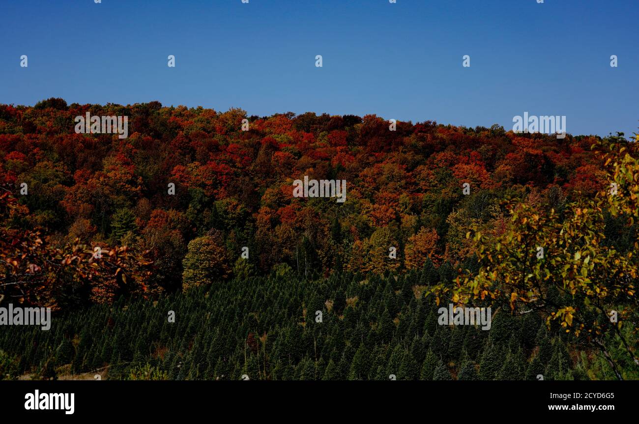Fall colors in Vermont Stock Photo - Alamy