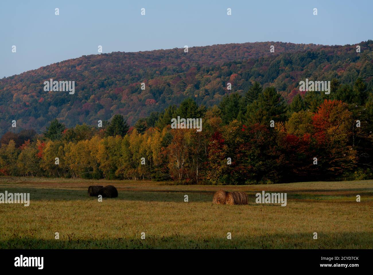 Fall colors in Vermont Stock Photo - Alamy
