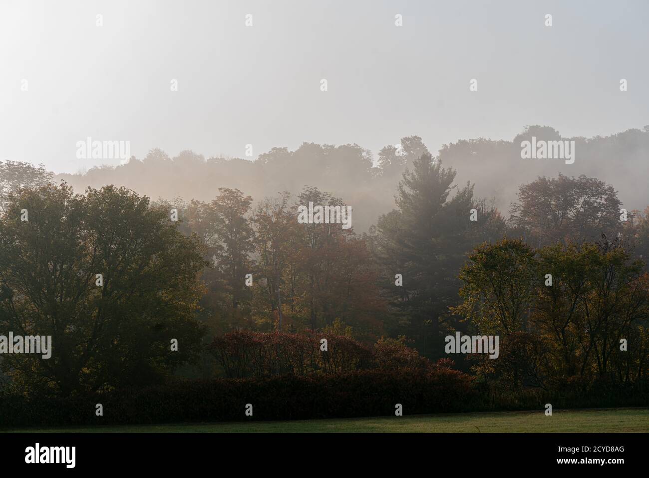 Fall colors in Vermont Stock Photo - Alamy