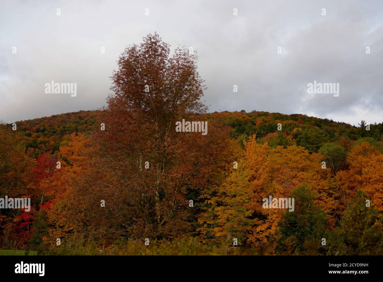 Fall colors in Vermont Stock Photo - Alamy