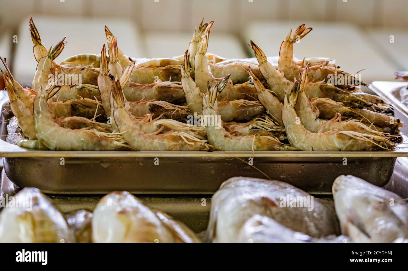ABU DHABI, UAE, MAR 22, 2018: Seafood on display for sale at the ...
