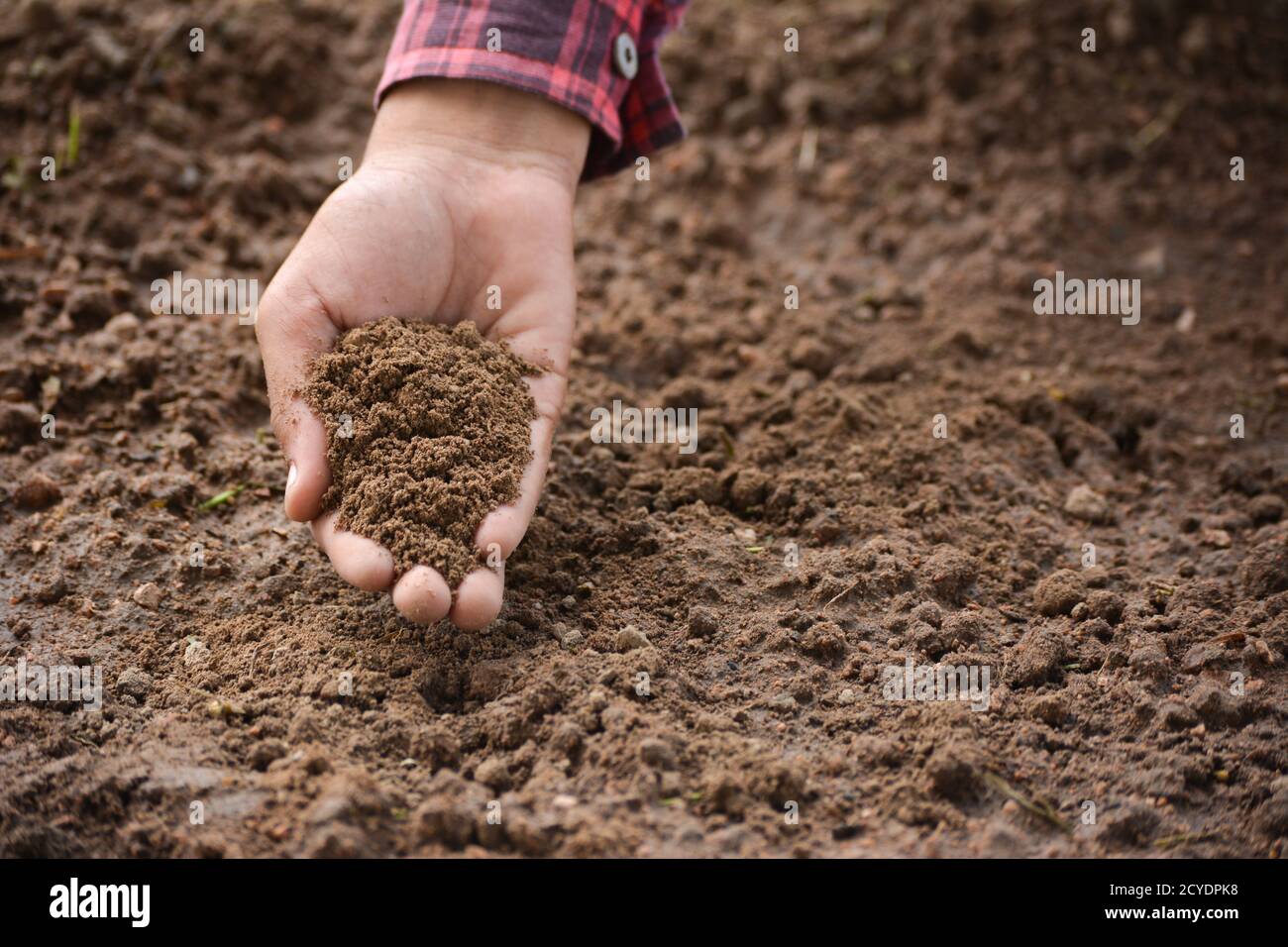 Checking soil hi-res stock photography and images - Alamy