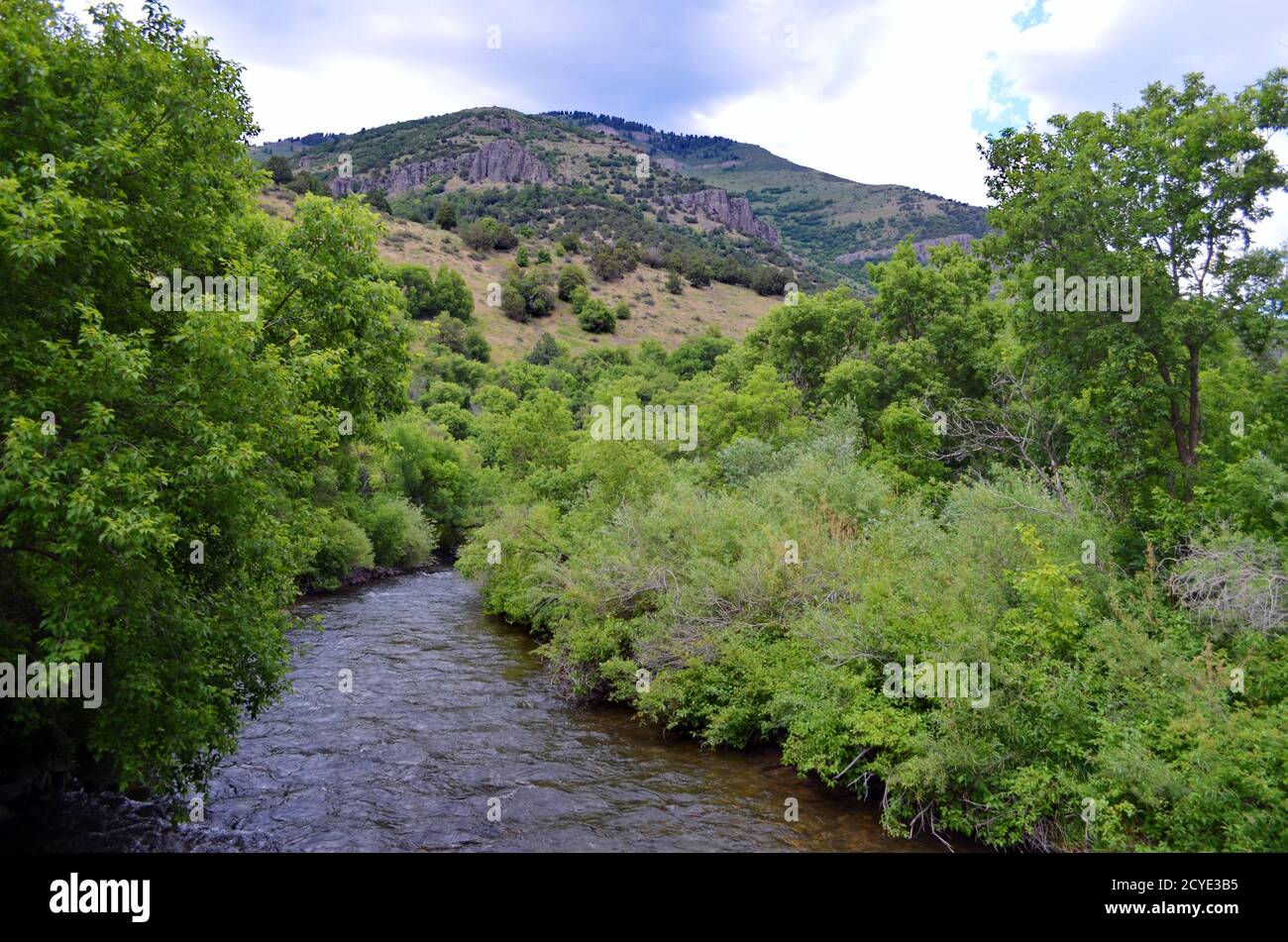 Utah - Logan River near Guinavah Campsite Stock Photo - Alamy