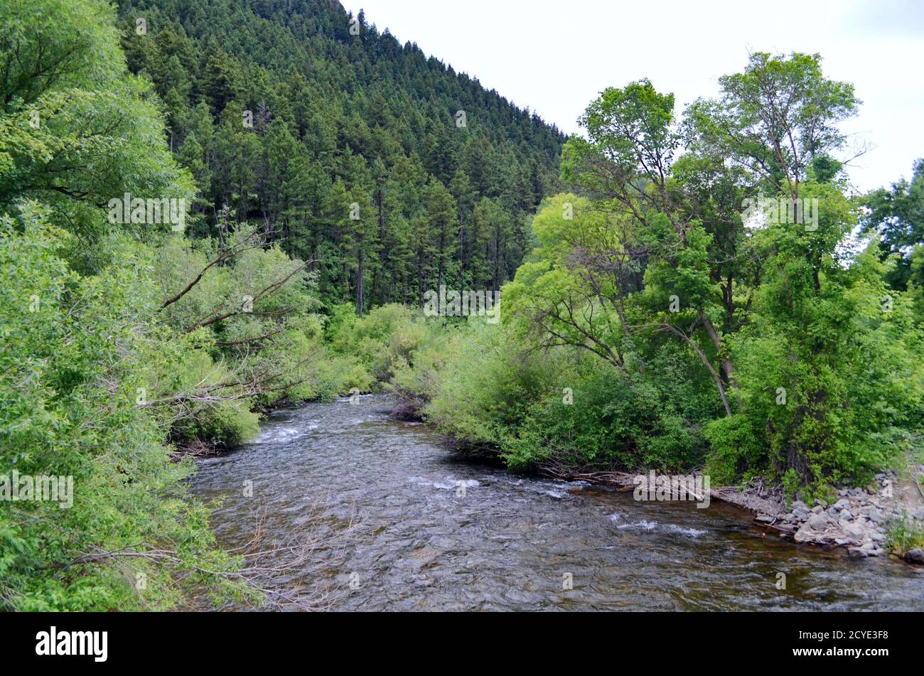 Logan river hi-res stock photography and images - Alamy