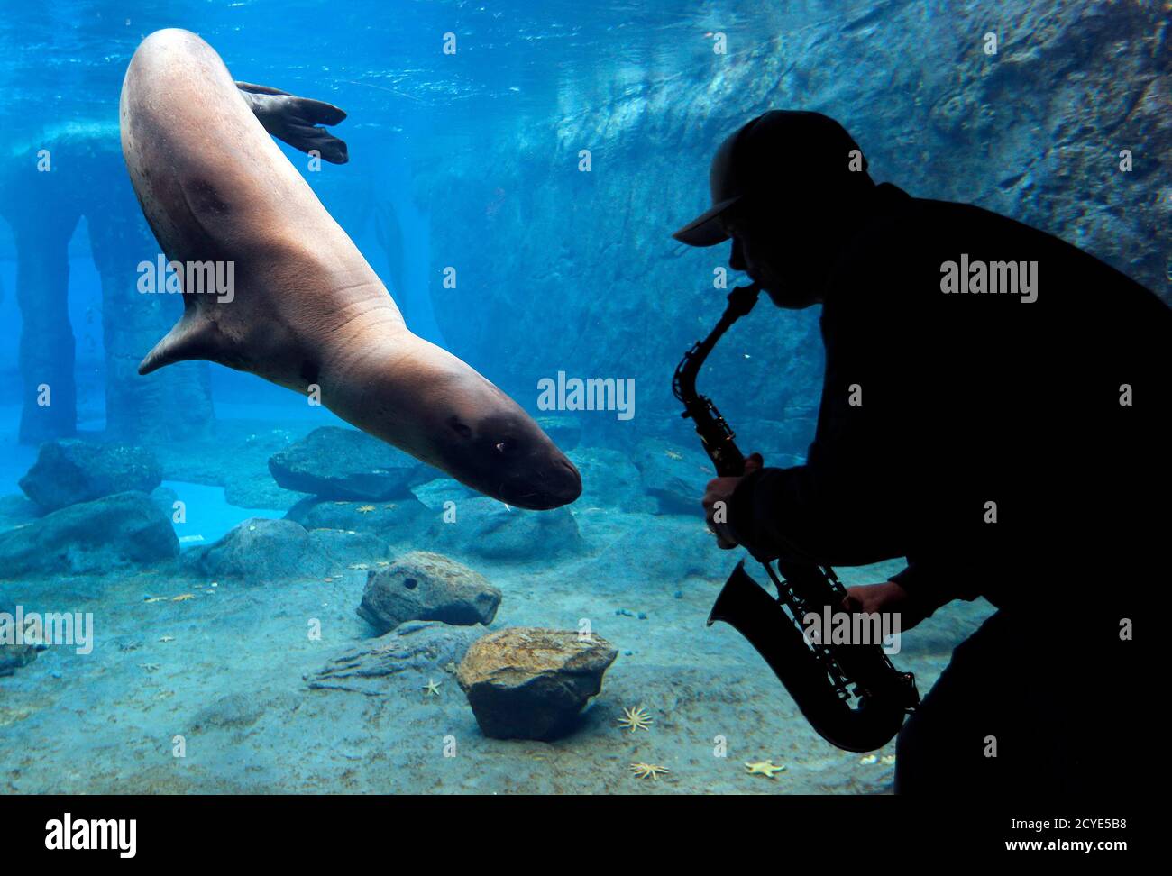 Australian zoos hi-res stock photography and images - Alamy