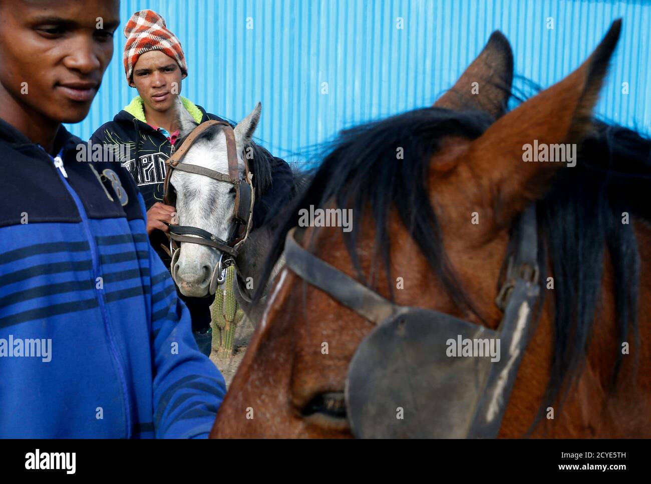 Koopman south africa hi-res stock photography and images - Alamy