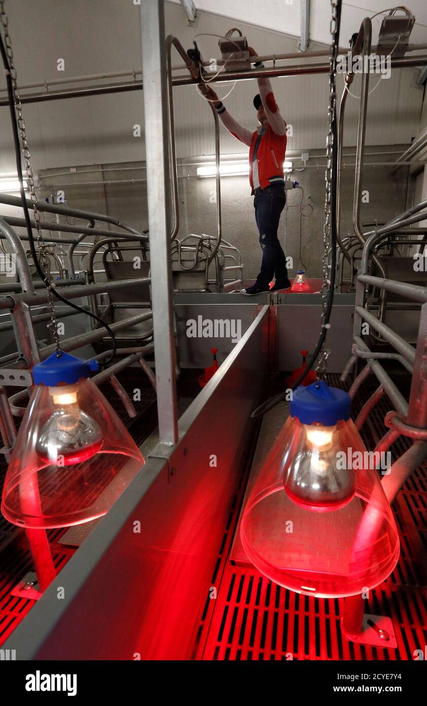 Farrow farm hi-res stock photography and images - Alamy