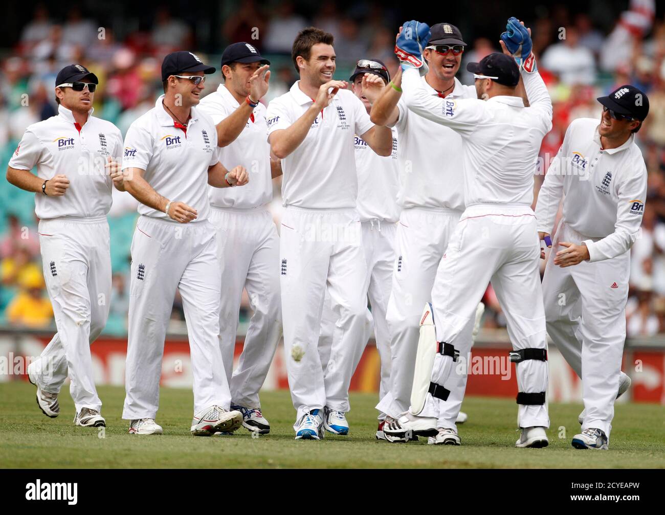 Tim anderson sydney hi-res stock photography and images - Alamy