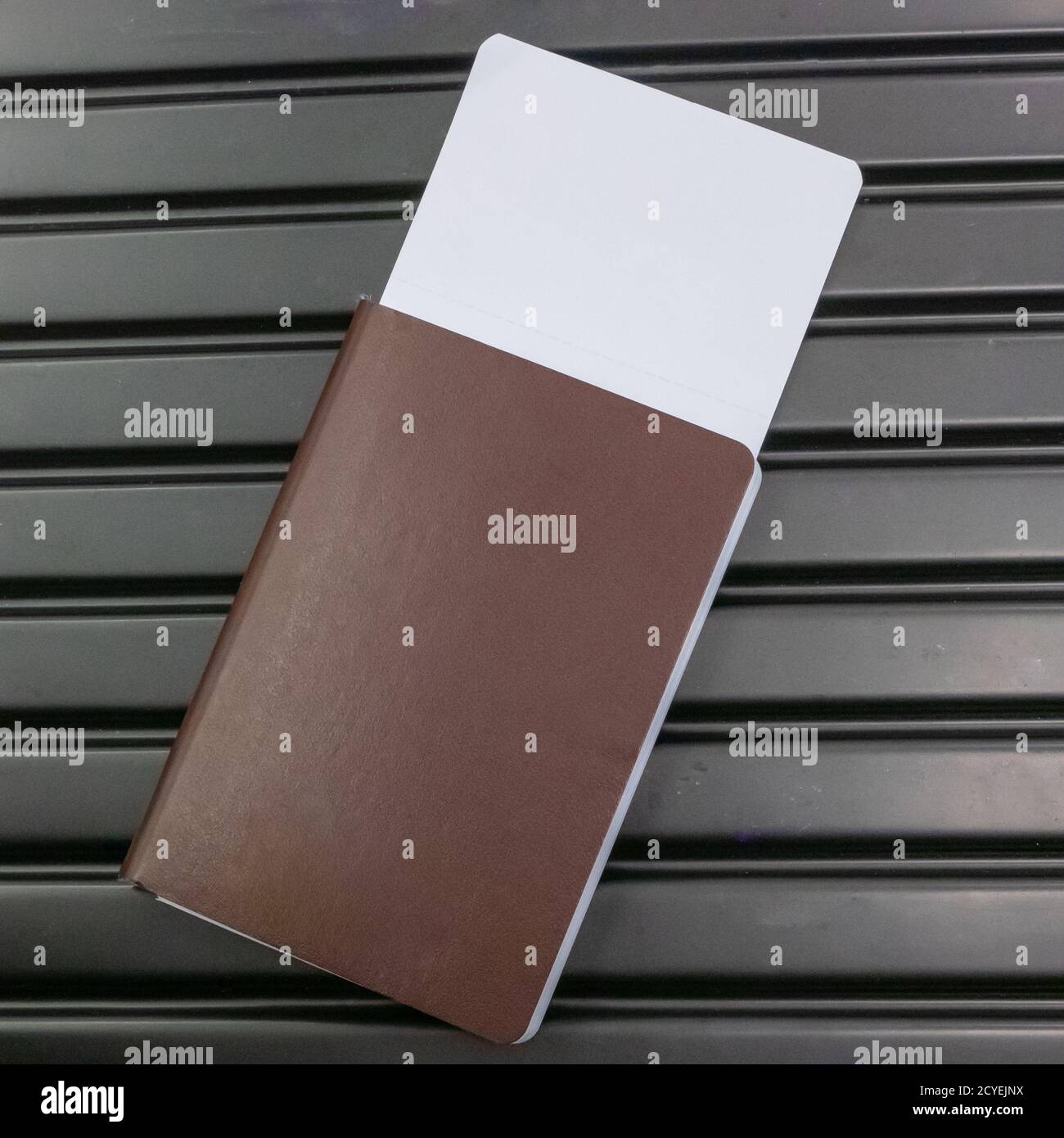 Blank Passport Book