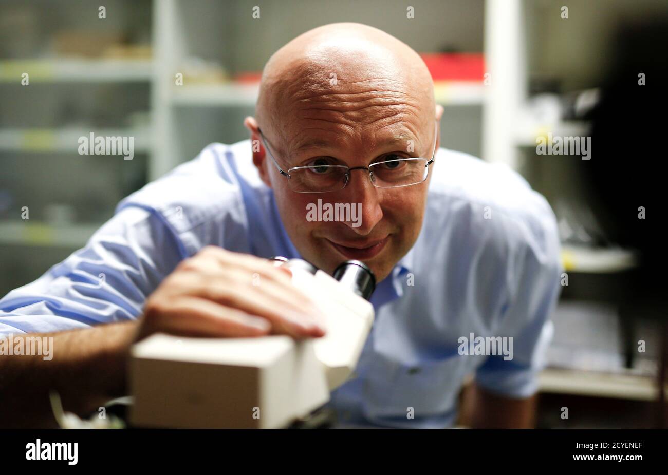 Nanoscale science and technology hi-res stock photography and images ...