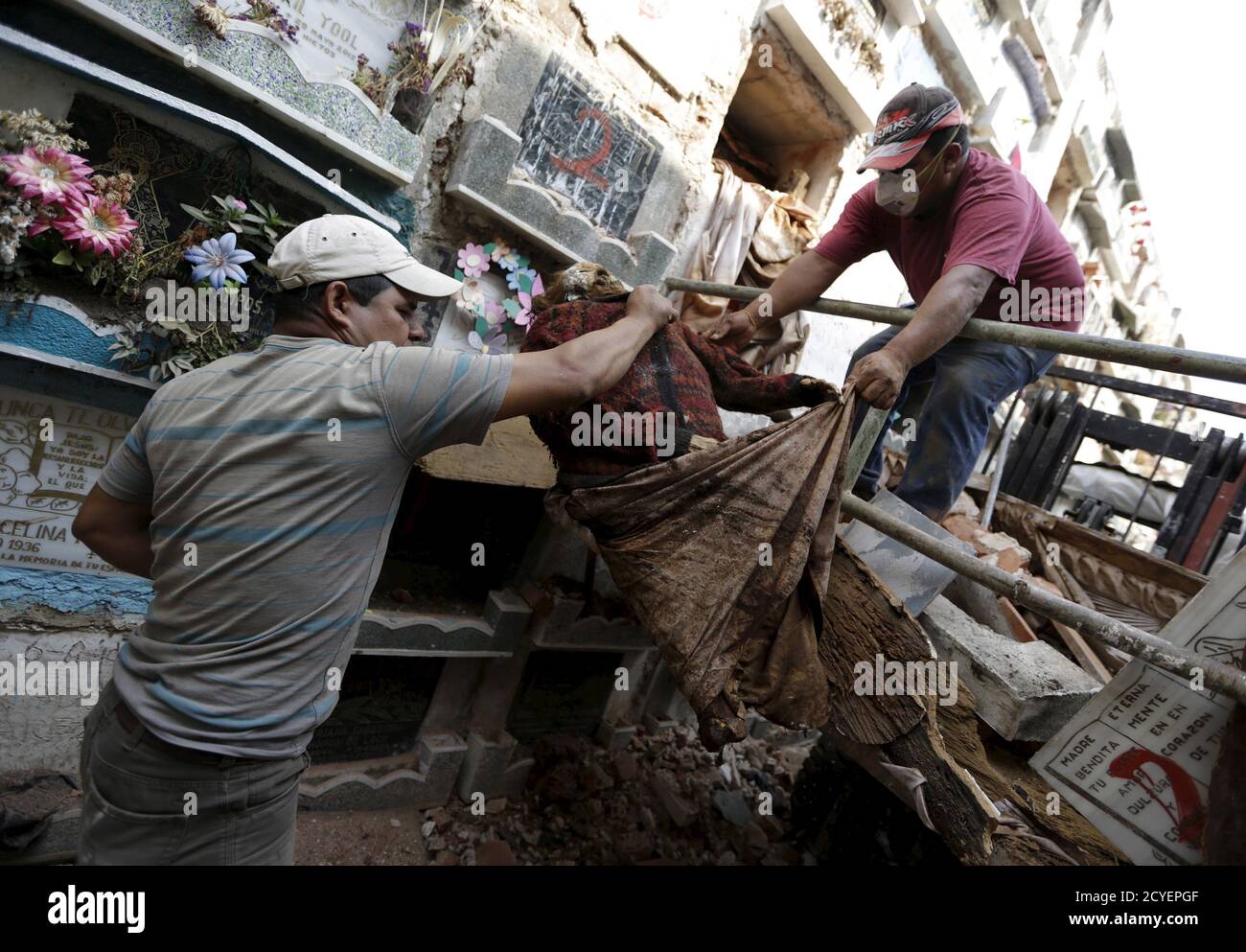 Become dry and decompose hi-res stock photography and images - Alamy