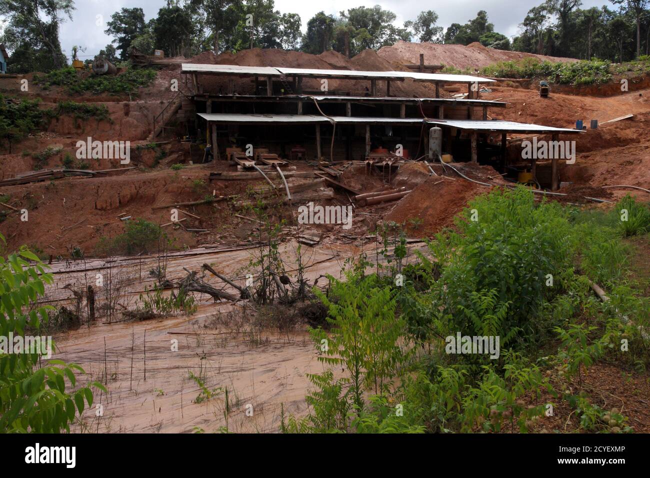 Saramacca hi-res stock photography and images - Alamy