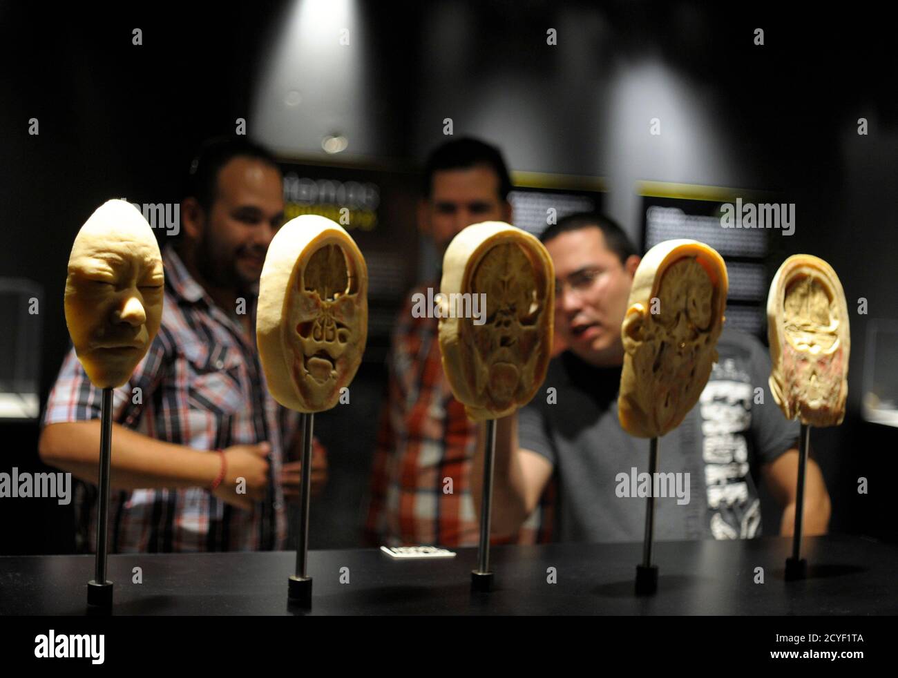 Whole Body Picture High Resolution Stock Photography and Images - Alamy