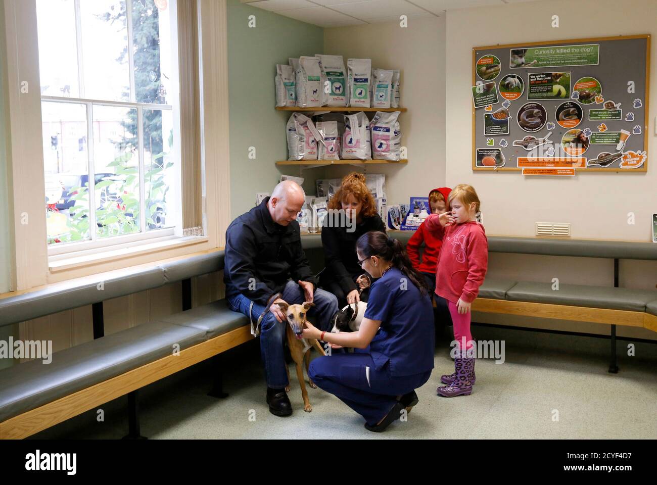 Richard dixon vet hi-res stock photography and images - Alamy