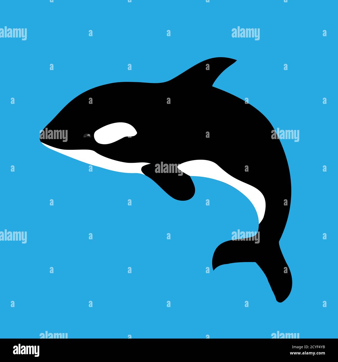 Killer whale wallpaper hi-res stock photography and images - Alamy