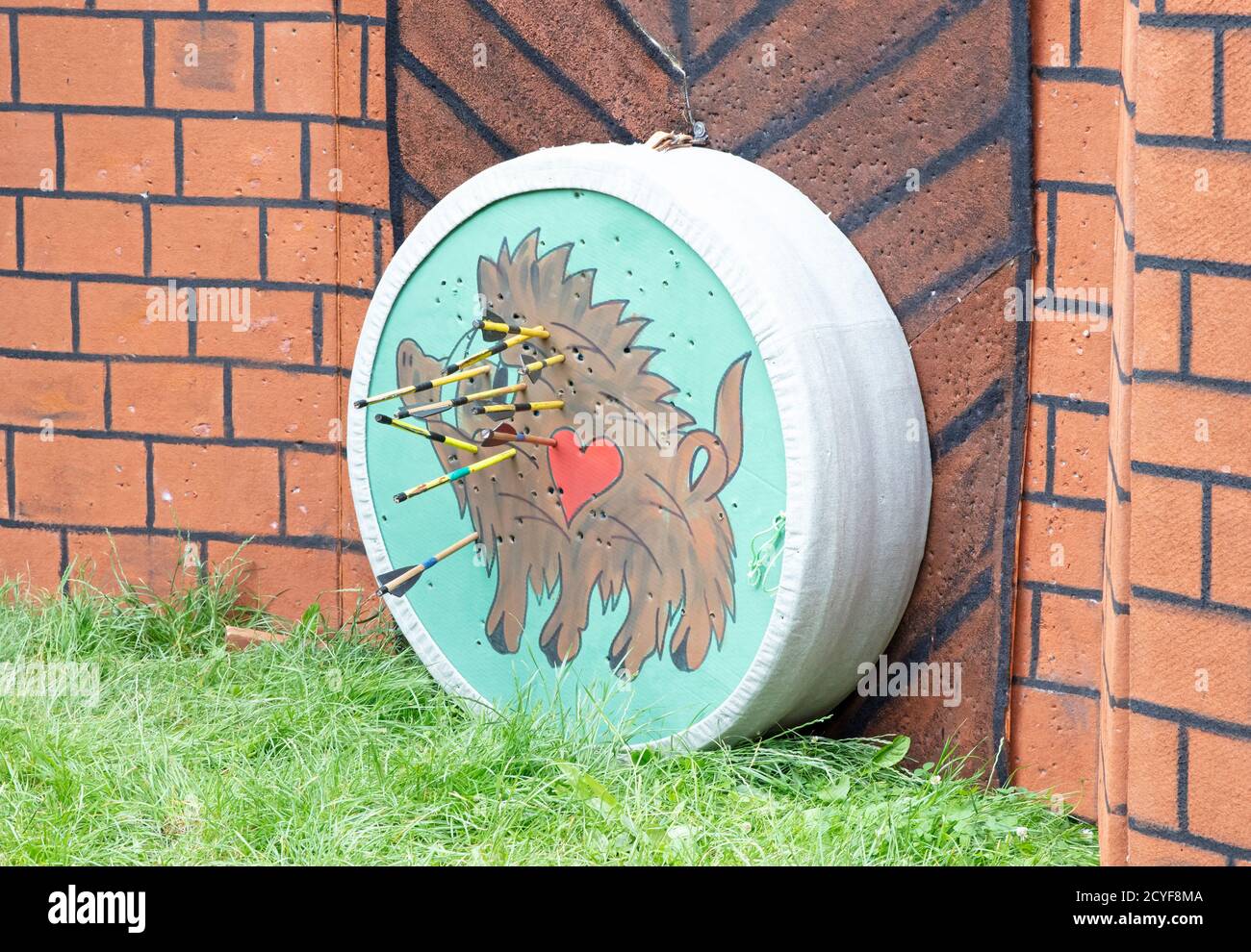 Target for dart, Crossbow and arrows, wild boar Stock Photo - Alamy
