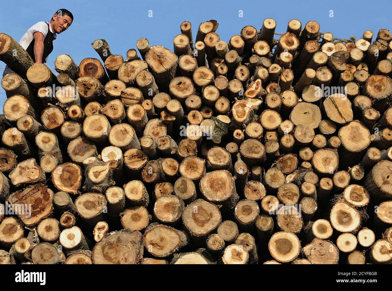 Timber logging truck pacific hi-res stock photography and images - Alamy