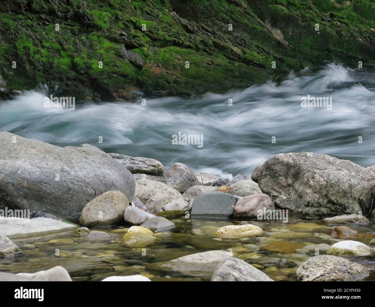 Beautiful shot of a rocky river in the middle of a forest Stock Photo ...
