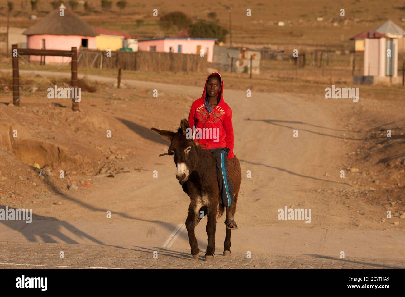 Mvezo africa hi-res stock photography and images - Alamy
