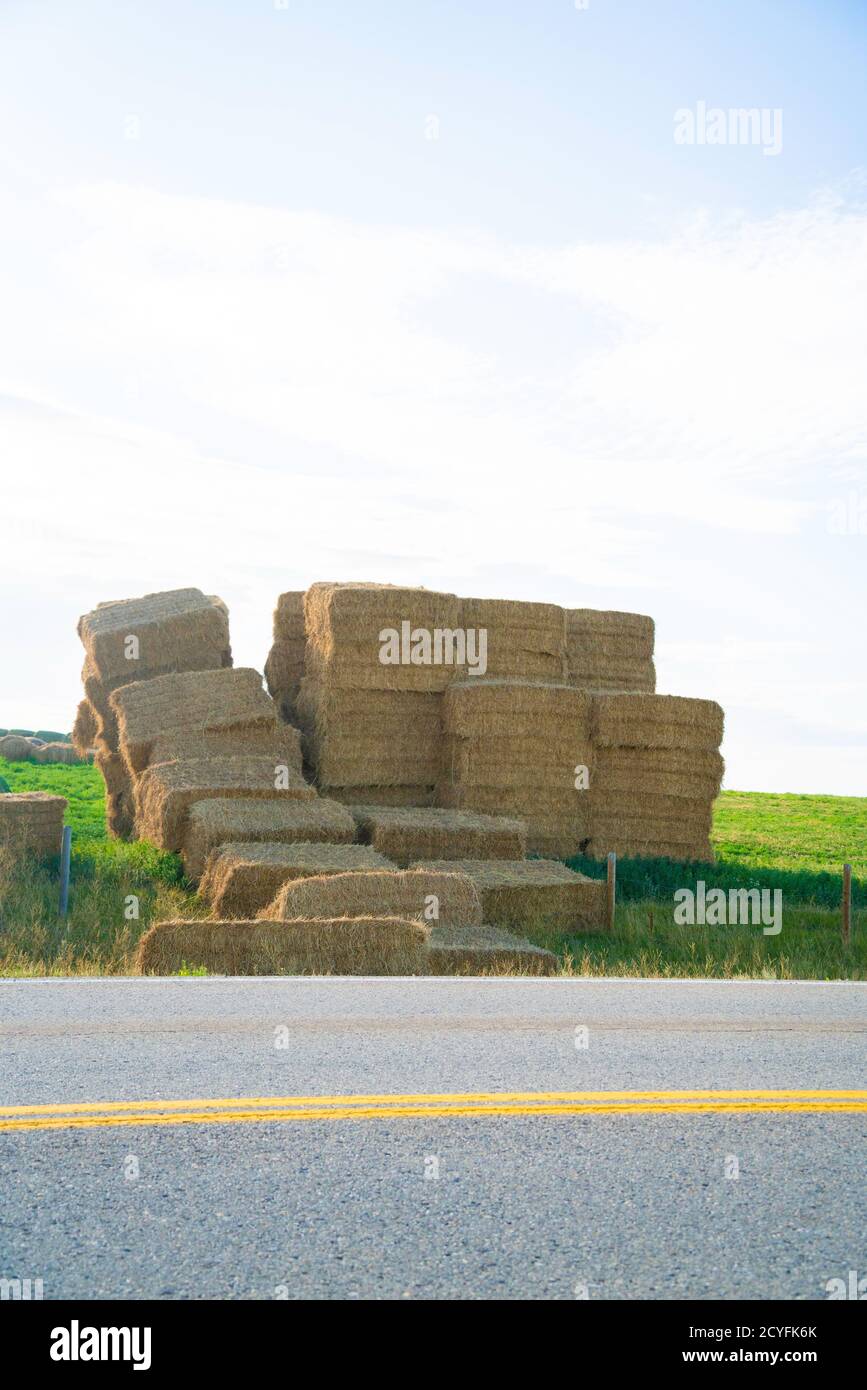 Falling hay hi-res stock photography and images - Alamy