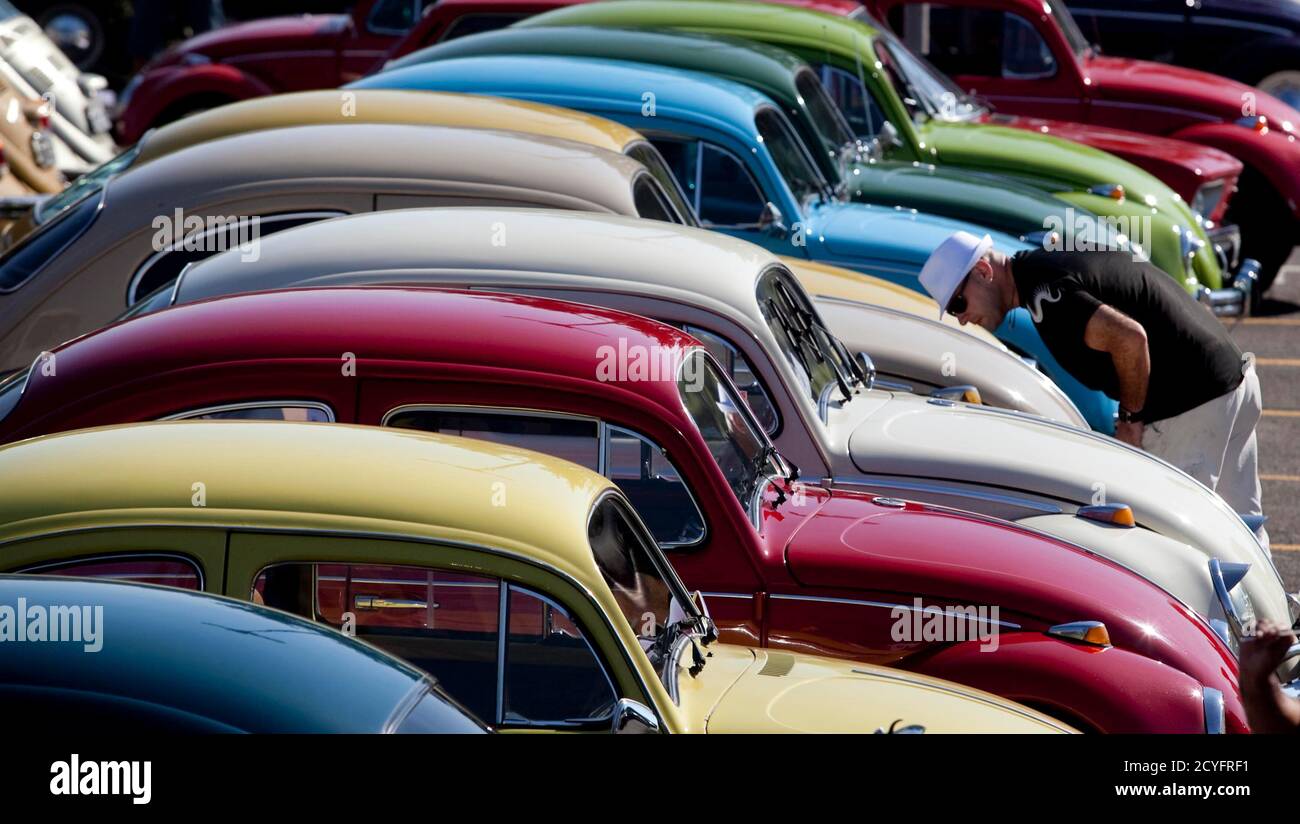 Brazilian Beetle High Resolution Stock Photography and Images - Alamy