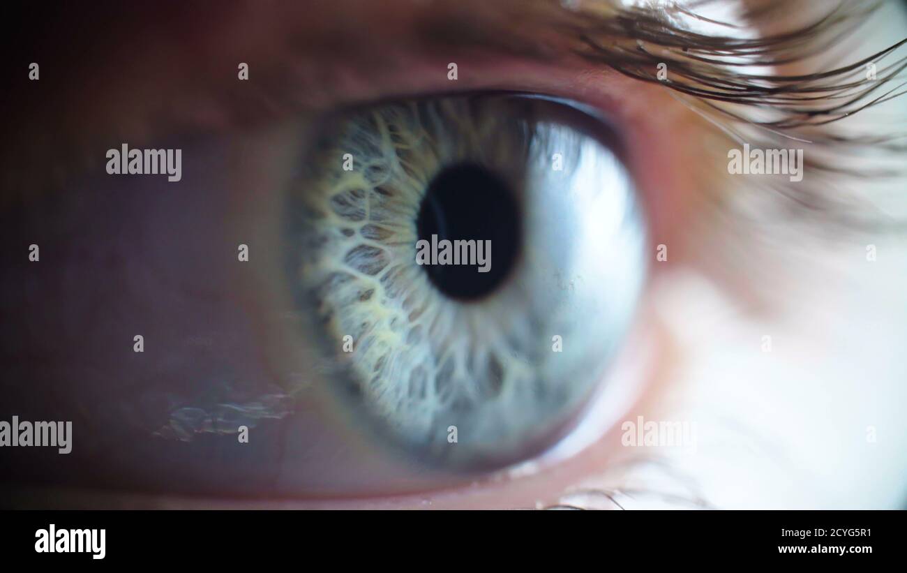 Human blue eye macro shooting hi-res stock photography and images - Alamy