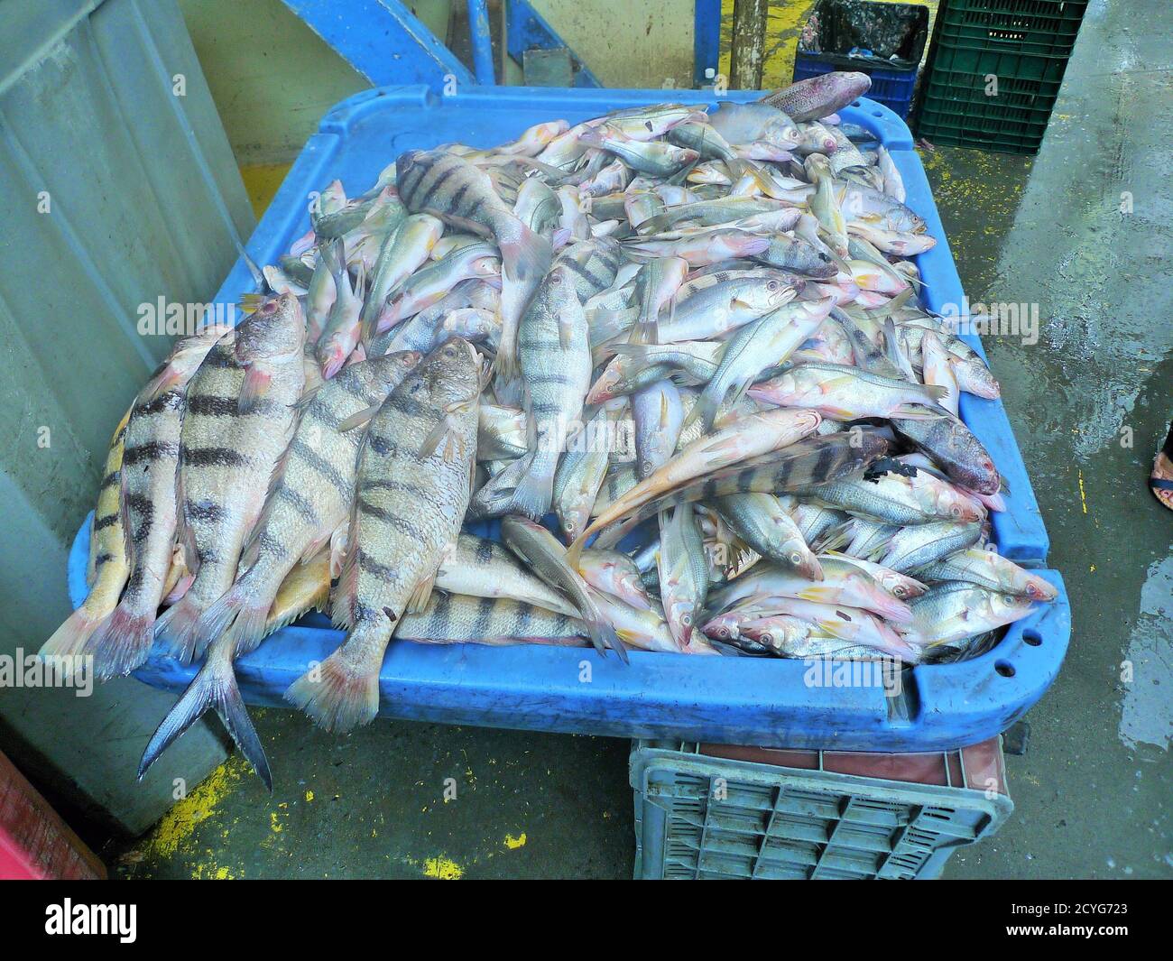Large containers hi-res stock photography and images - Alamy