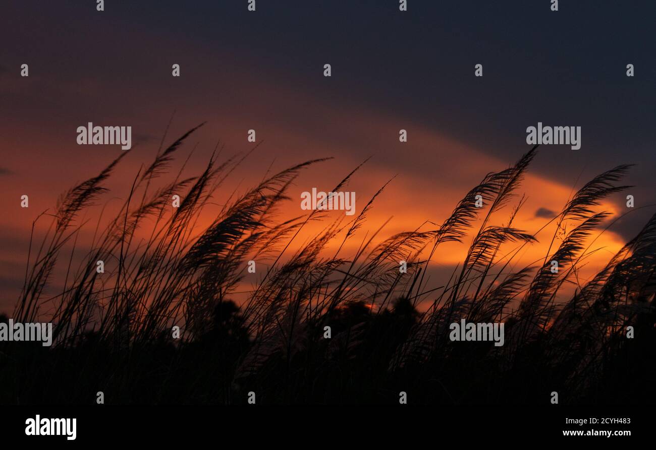 Kashful images hi-res stock photography and images - Alamy