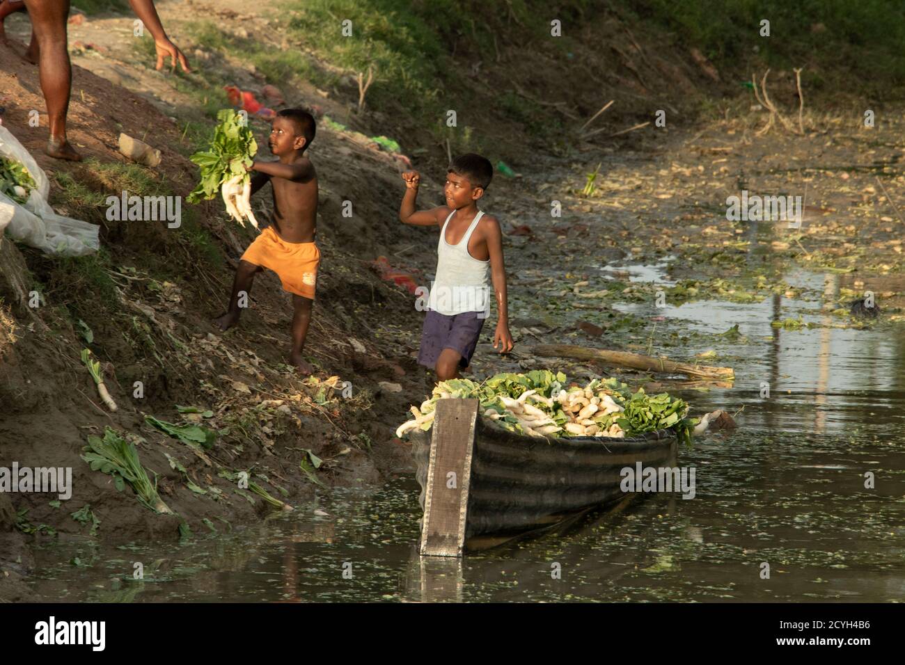 kids helping father stock photo Stock Photo - Alamy