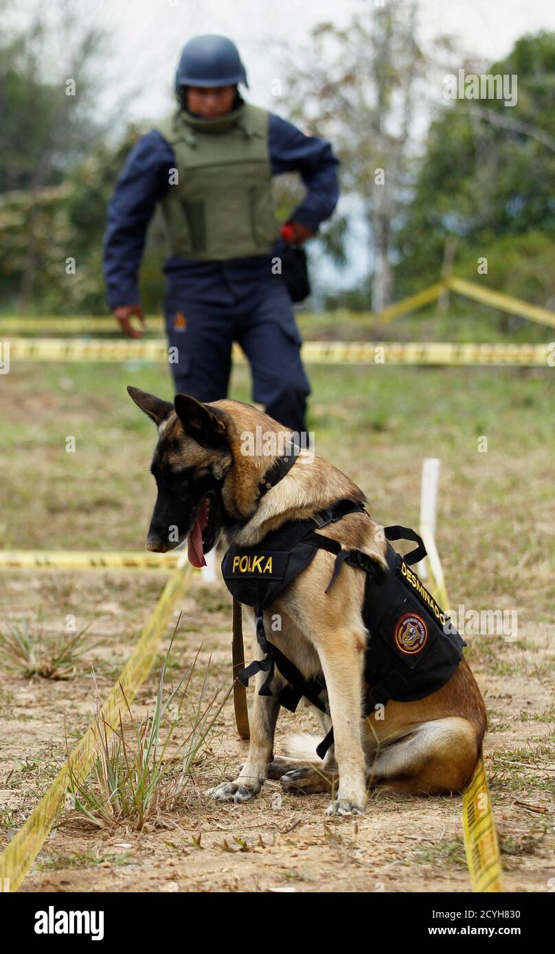 Humanitarian Mine Action High Resolution Stock Photography and Images ...