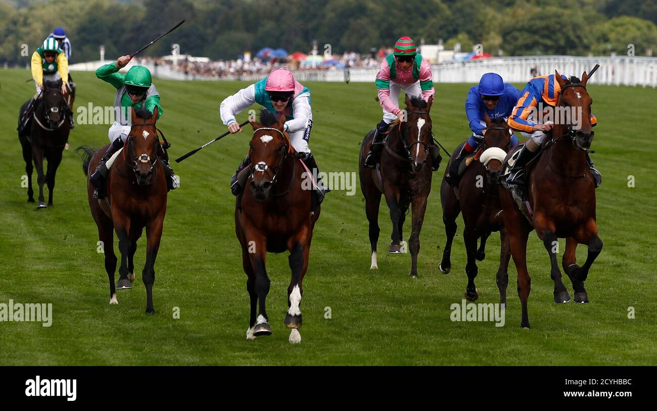 Frankel ascot hi-res stock photography and images - Alamy