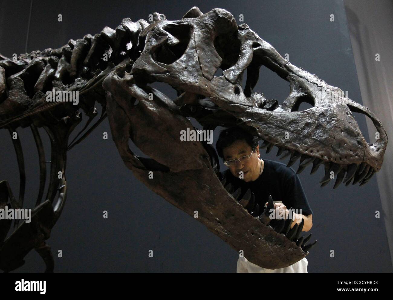 On display in tokyo national museum hi-res stock photography and images ...