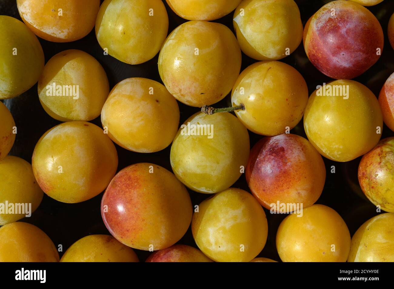 Yellow plum mirabelle close-up. Summer fruit season.harvest Stock Photo ...