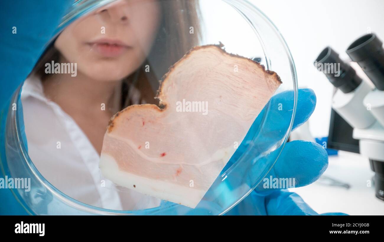 Inspection of meat and fish quality in the food quality laboratory ...