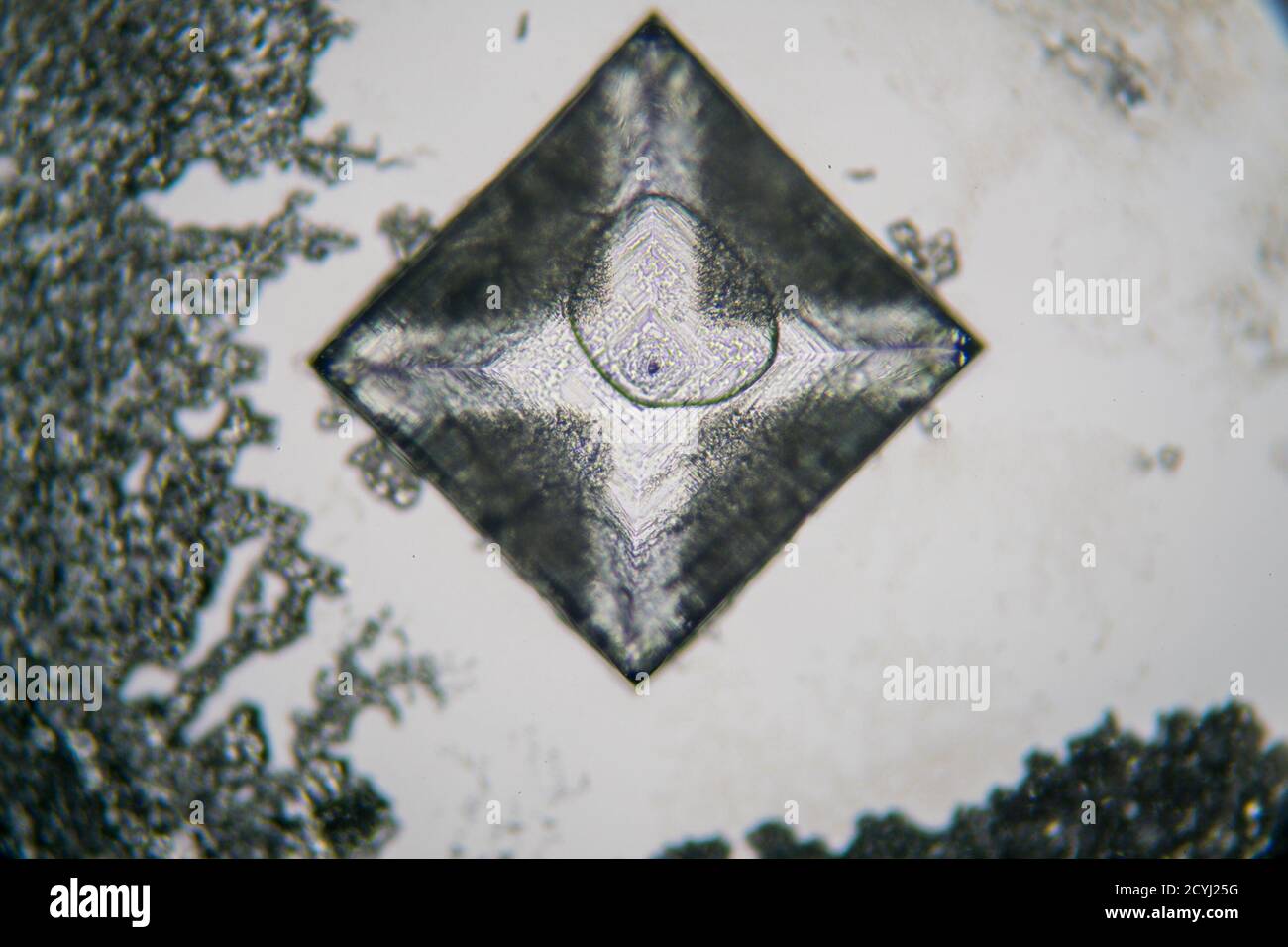 Image of crystals with magnification in a microscope Stock Photo - Alamy