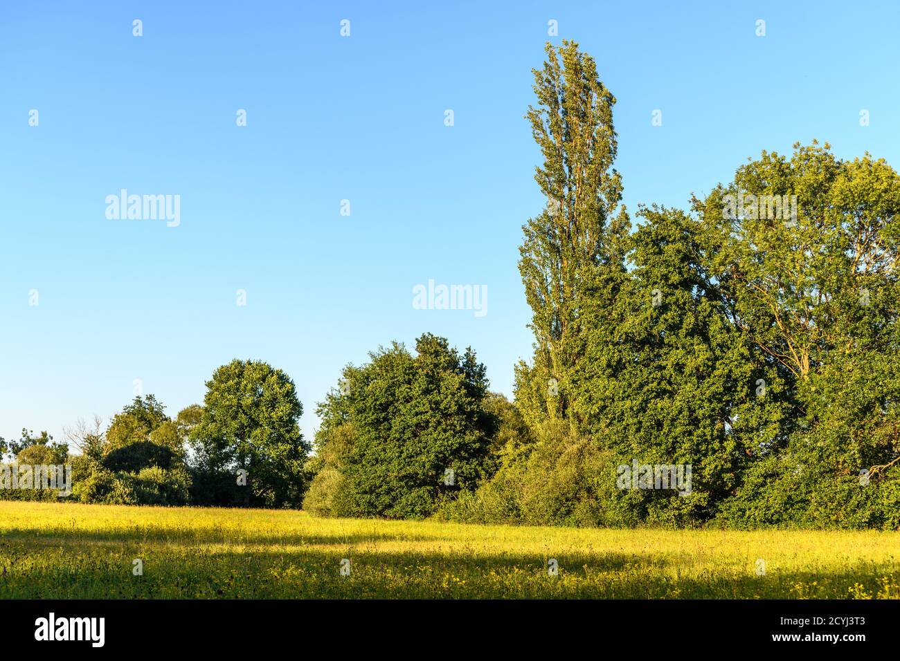 Spring Landscape - Plain of Alsace. France Stock Photo - Alamy