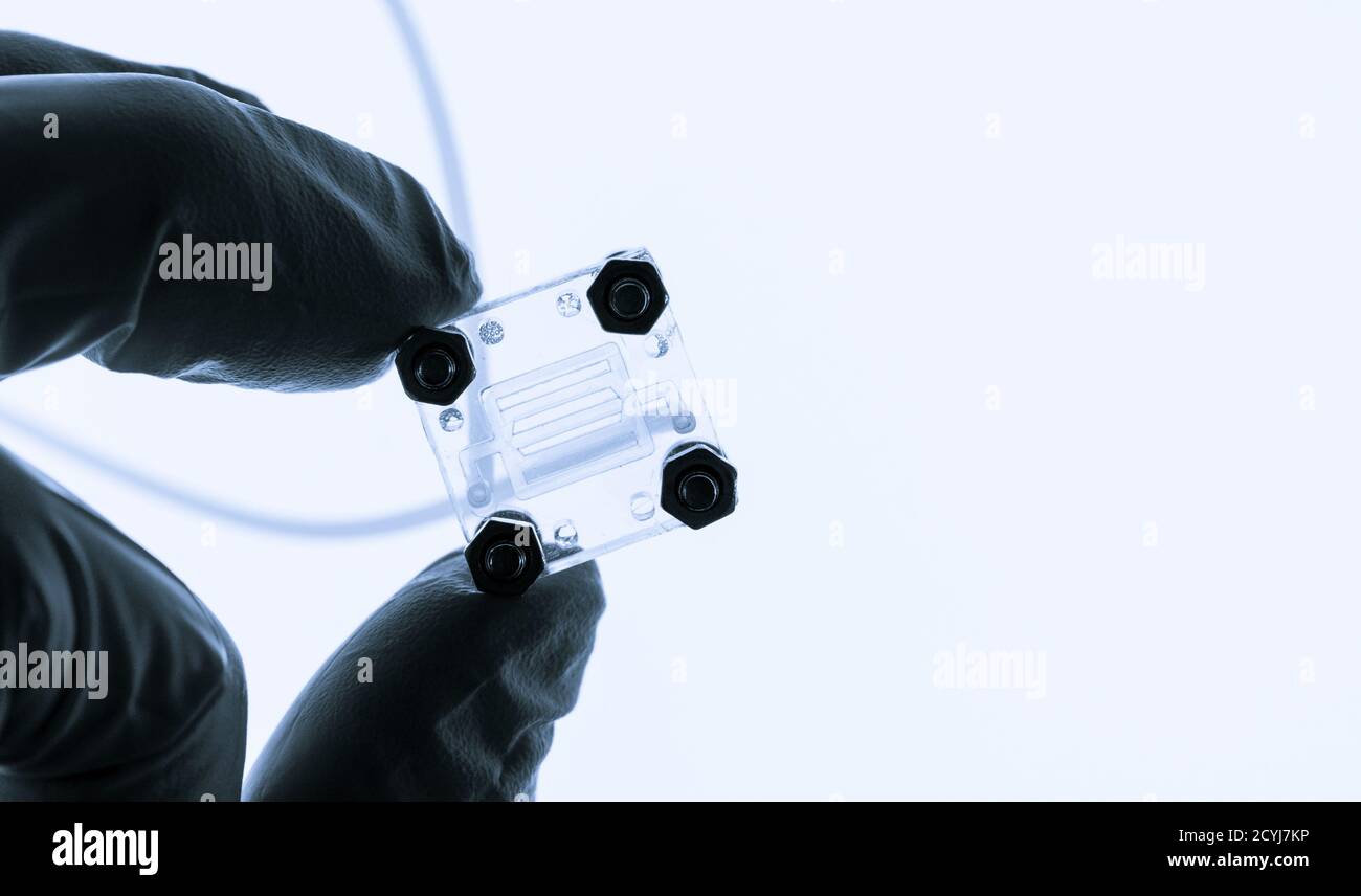 Organ on chip OOC and lab on chip LOC - microfluidic device chip that ...