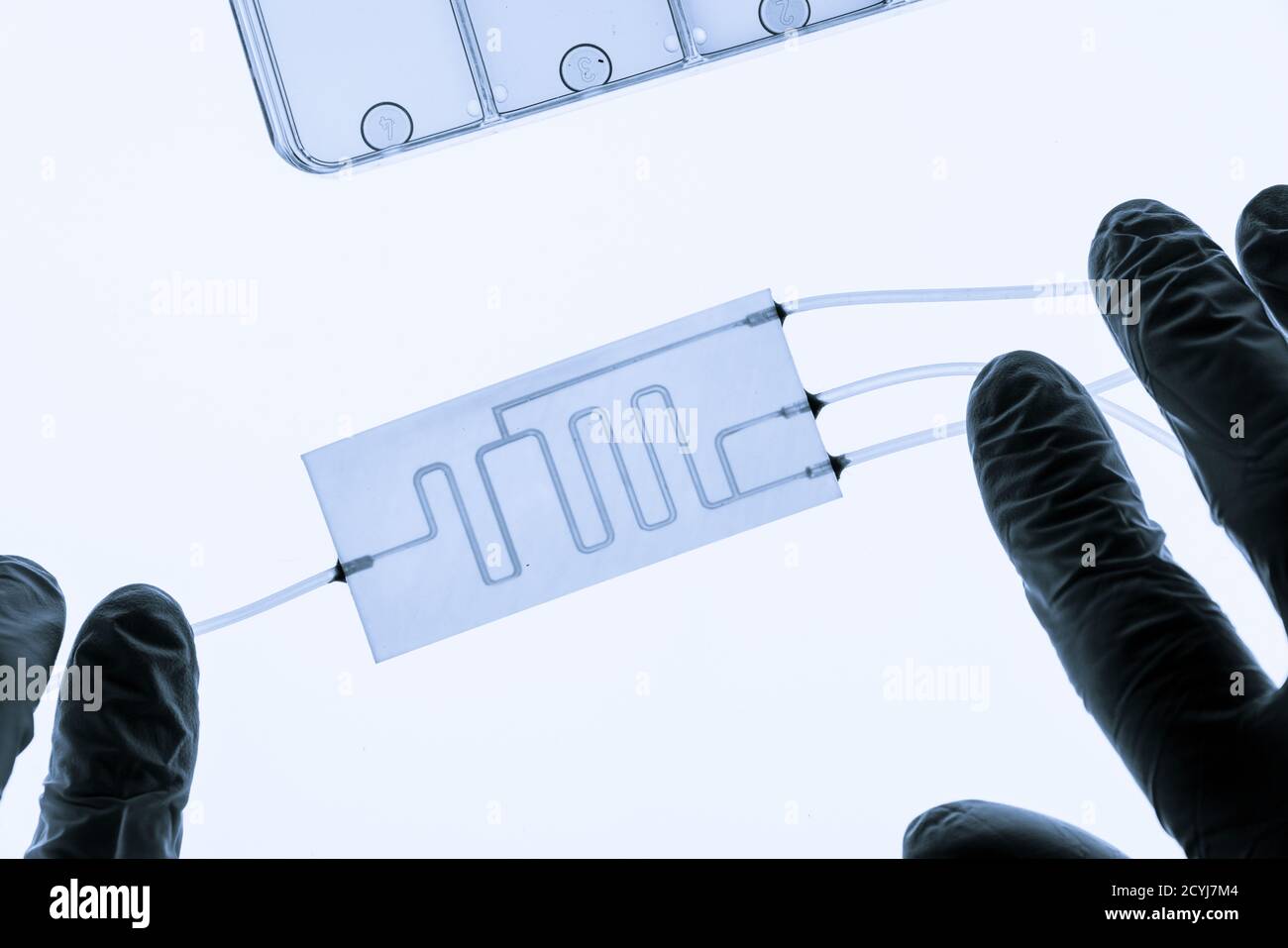 Organ on chip OOC and lab on chip LOC - microfluidic device chip that ...