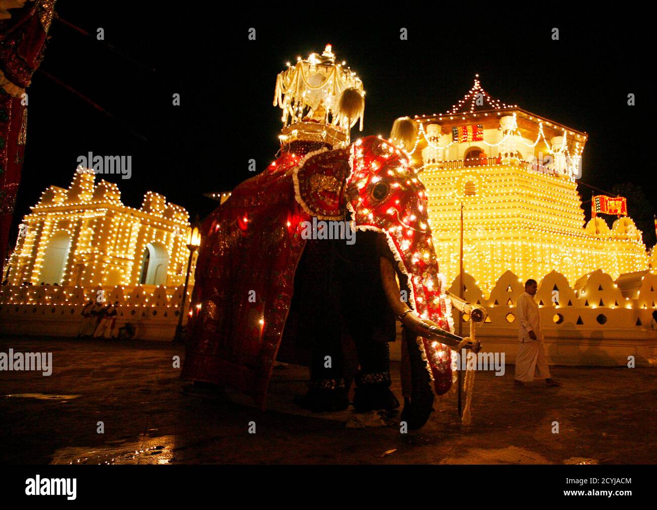 Kandy esala perahera elephant hi-res stock photography and images - Alamy