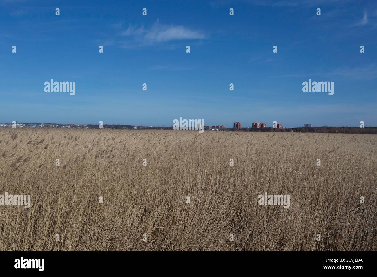 Merimets hi-res stock photography and images - Alamy