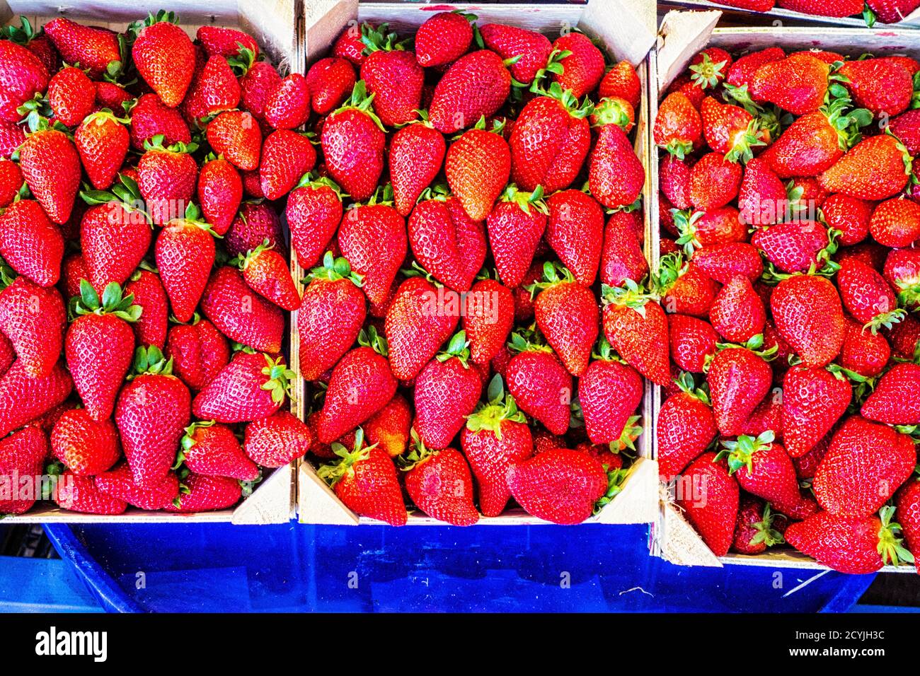 Strawberries stacked in boxes at market ancient park Stock Photo - Alamy