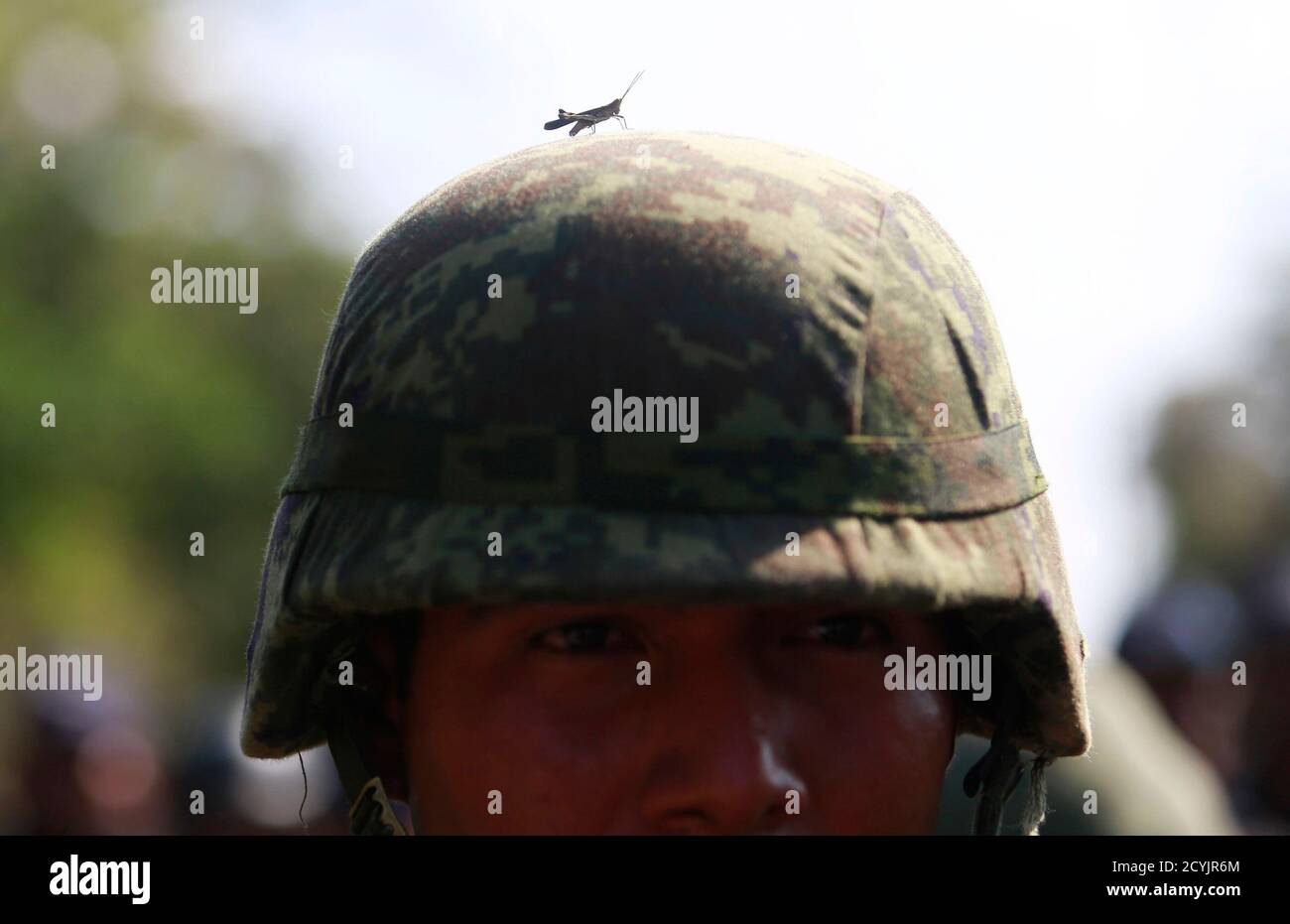Soldiers arguing hi-res stock photography and images - Alamy