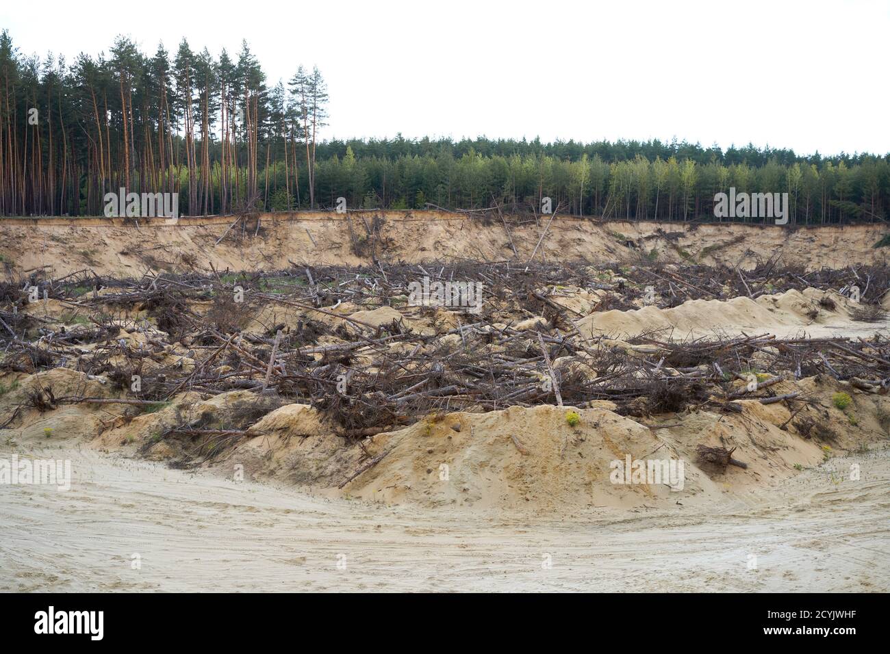 Deforestation forest disaster change climate global warming problem ...