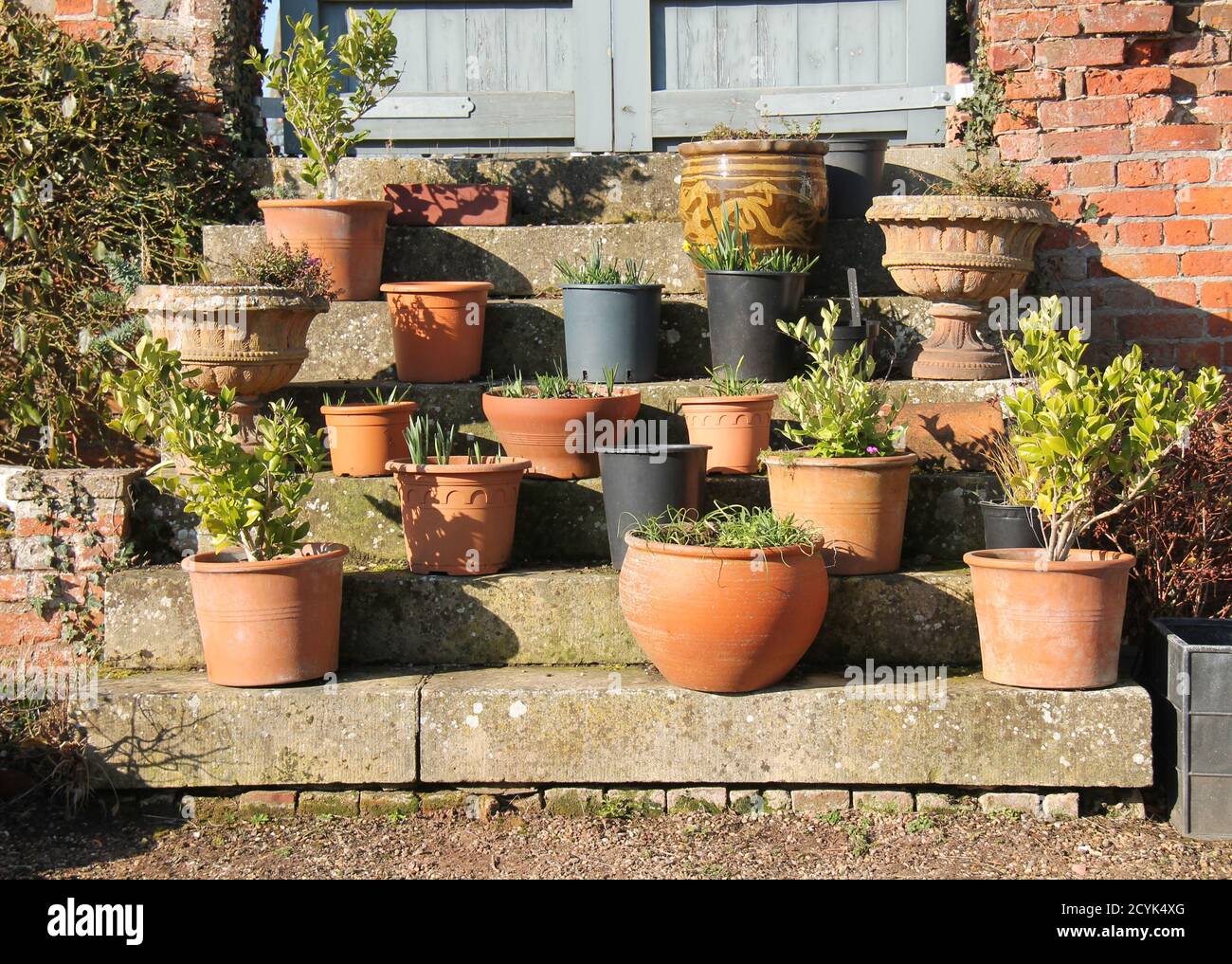An Arrangement of Garden Potted Plants on Stone Steps Stock Photo - Alamy