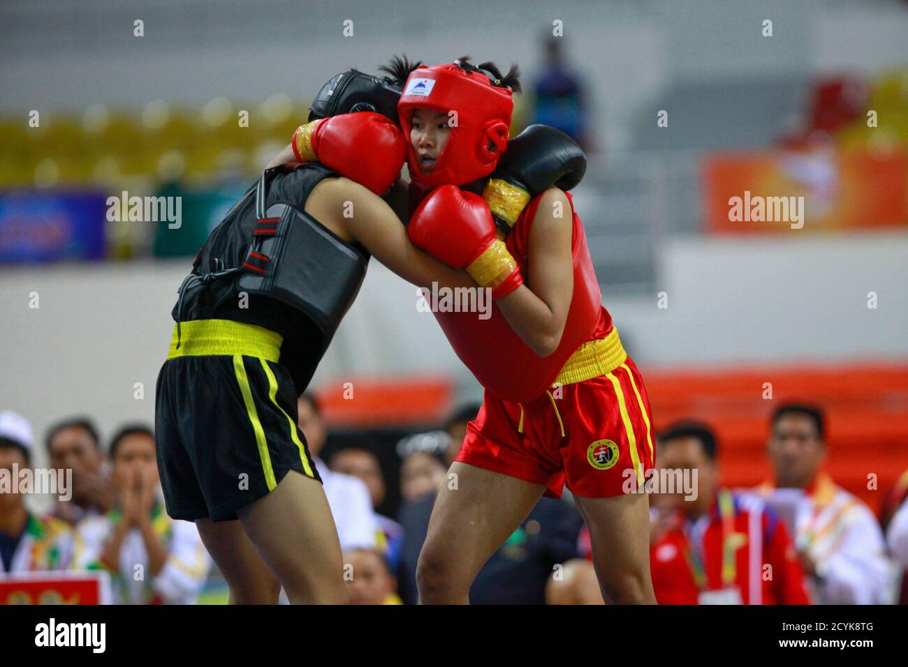 Wushu Sanda Wallpaper